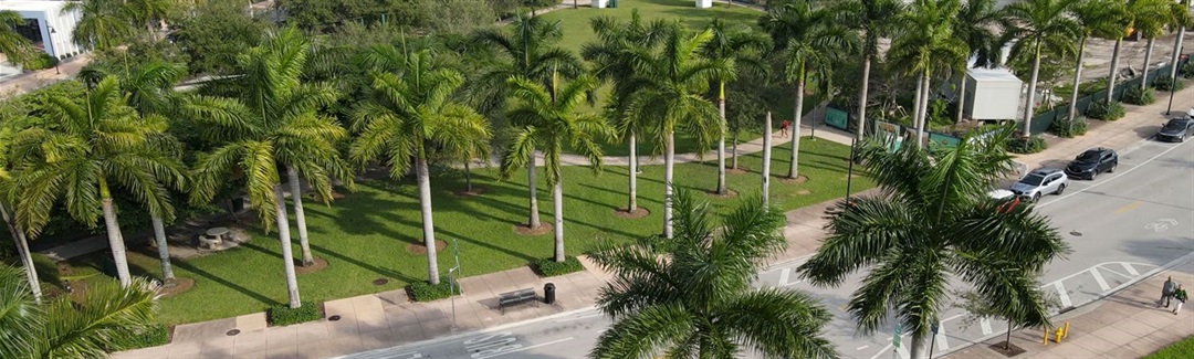 Managers Office Background - City of Doral